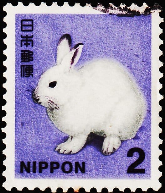 JAPAN RABBIT MAMMEL USED STAMPS #3017 - Stistamp